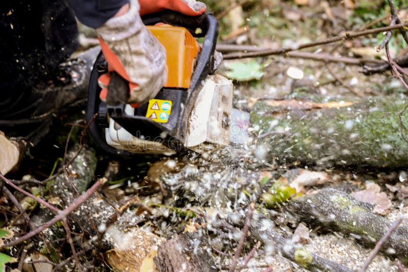 Sawdust of chainsaw stock image. Image of chain, safety - 108635455