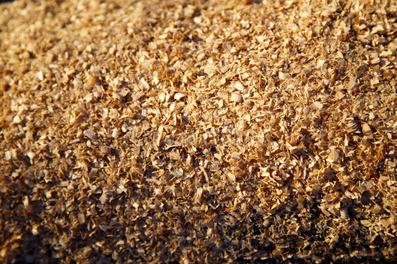 Sawdust from Cutting Wood. Wood Chip Lumber from Wood Processing. Stock ...