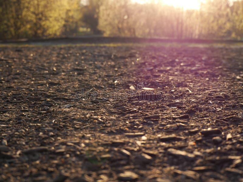 Sawdust and Dirt in the Sun Stock Image - Image of sawdust, dirt: 104786075