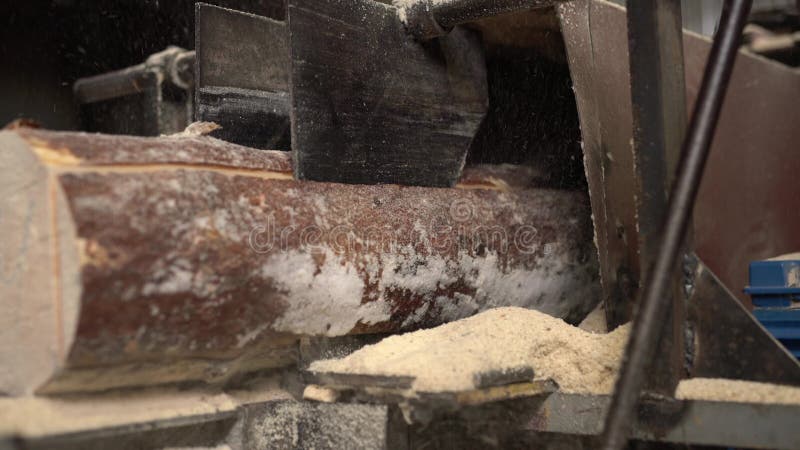 Sawdust Flying in All Directions during Log Sawing Stock Video - Video ...