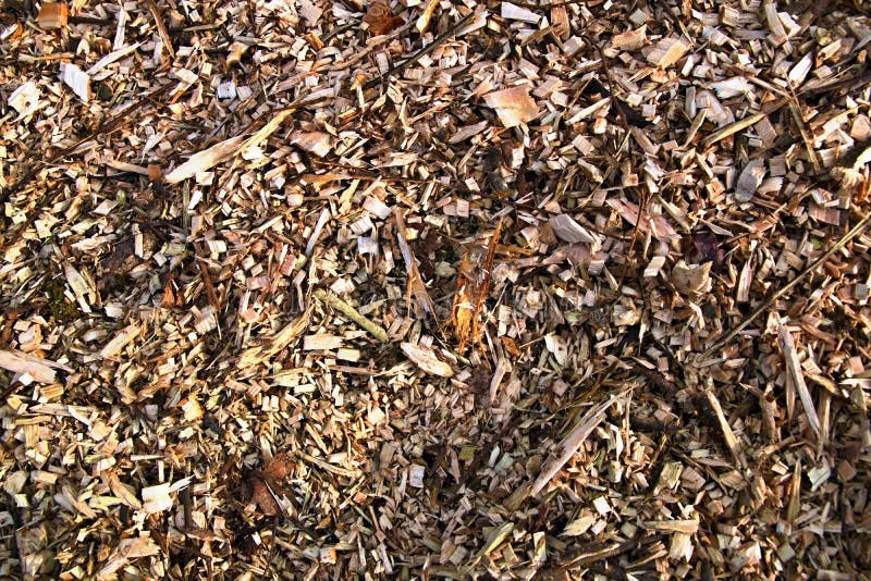 Sawdust stock image. Image of lumberjack, carpenter, recycling - 49369935