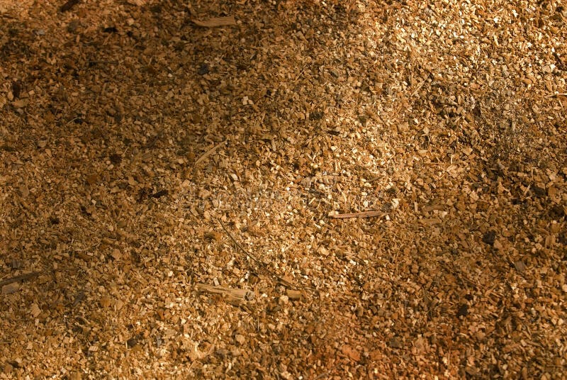 Sawdust texture stock image. Image of mill, wood, chips - 3002513