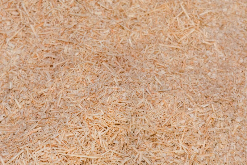 Sawdust. Timber From A Tree Close Up. Wood Waste. Stock Image - Image ...