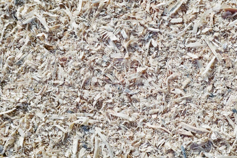 Sawdust is a Waste of Main Production Stock Image - Image of flakes ...