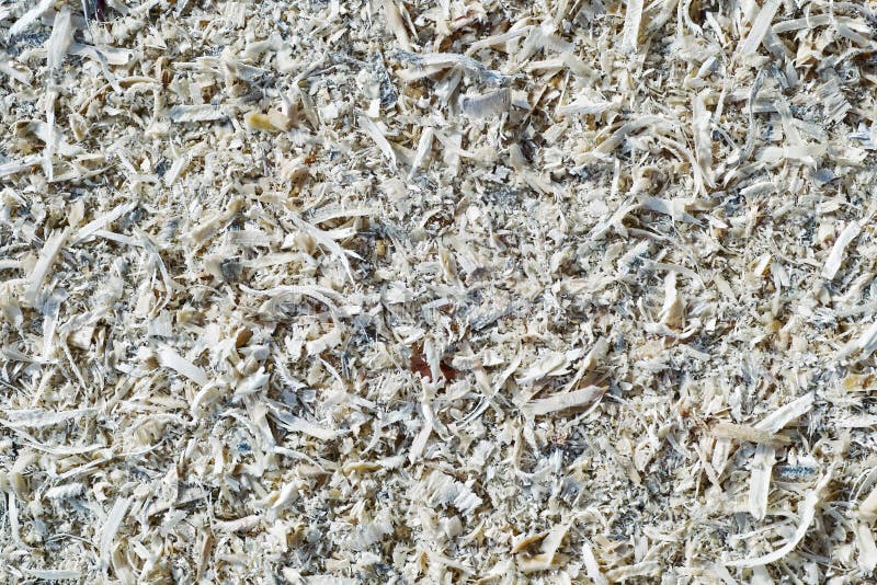 Sawdust is a Waste of Main Production Stock Image - Image of activity ...