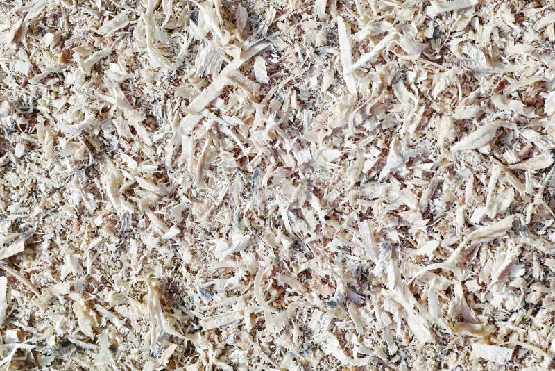 Sawdust is a Waste of Main Production Stock Photo - Image of sawdust ...