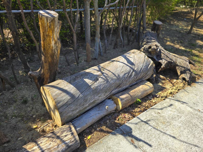 Sawed-off Tree Trunks of Various Sizes Were Placed on the Roadside ...