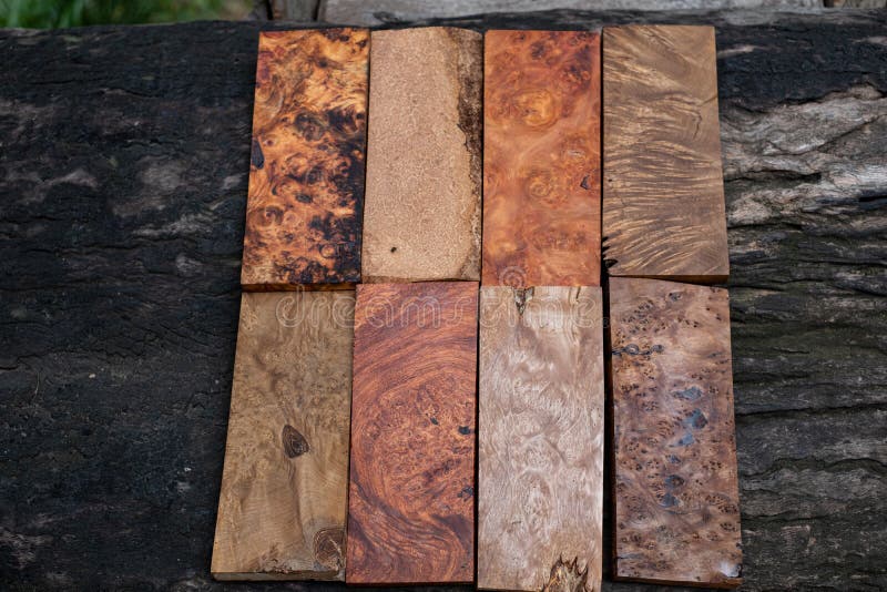 Sawed timber burl wood stock photo. Image of plank, decorative - 154344228