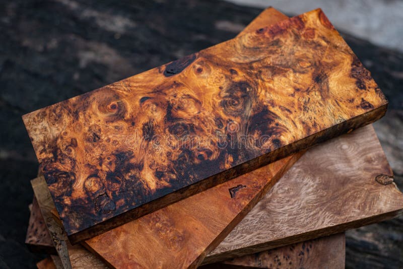 Sawed timber burl wood stock image. Image of closeup - 154344241