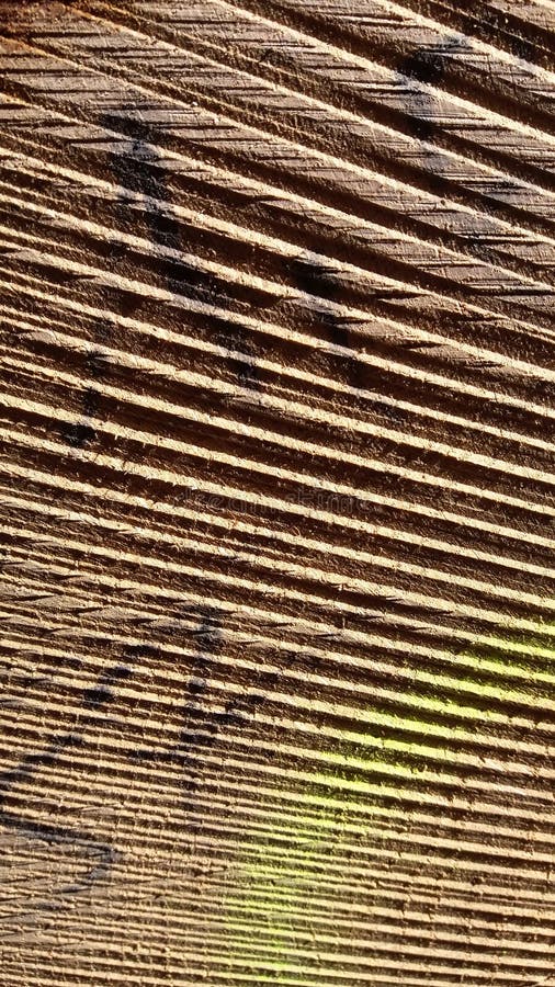 Sawed Tree Hard Trunk. Traces of Cuts Parallel Stock Image - Image of ...