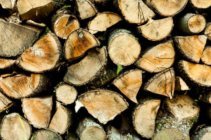 Sawed Tree Trunks and Branches in Different Sizes, Piled Up in Blue ...