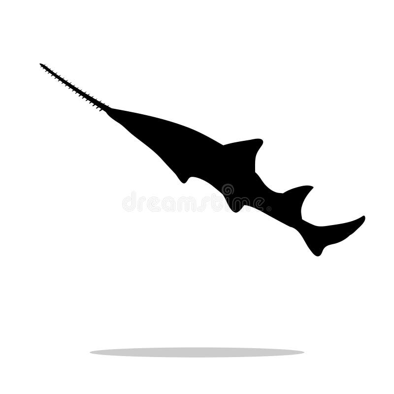 Sawfish stock vector. Illustration of sawfish, artwork - 45685961