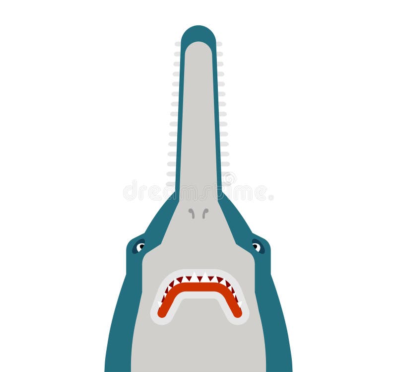 Sawfish Isolated. Marine Predator Saw Fish Stock Vector - Illustration ...