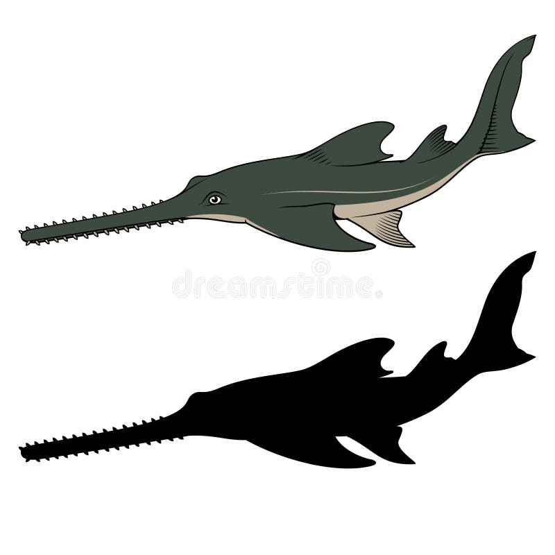 Sawfish. Vector Clipart. Color and Black Versions Stock Vector ...