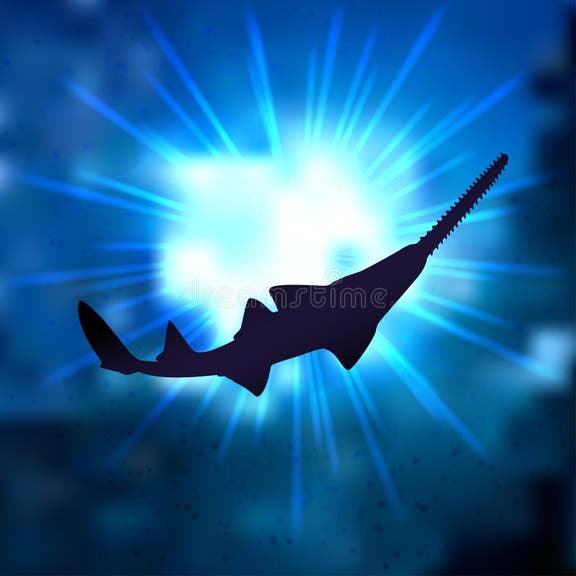 Sawfish stock vector. Illustration of marine, blue, nature - 41642618