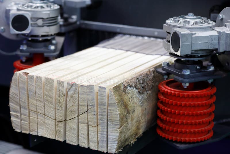 Sawing Boards from Logs with Multi Rip Saw Machine Stock Image - Image ...