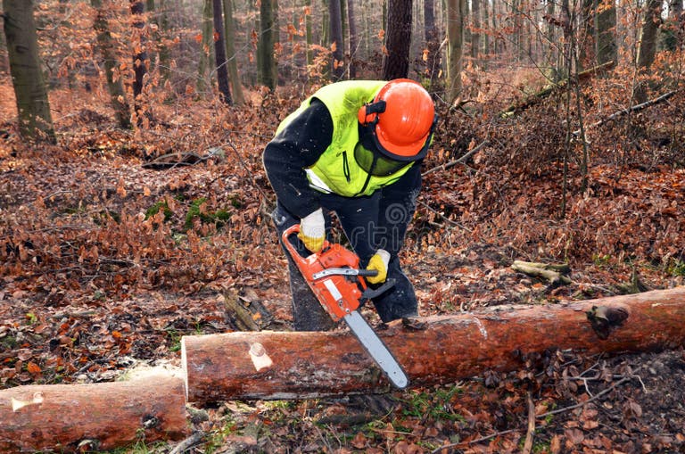 6,484 Forestry Worker Stock Photos - Free & Royalty-Free Stock Photos ...