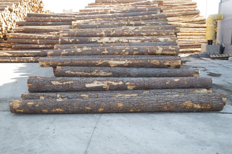 Sawing Logs into Boards.Timber Products Warehouse on a Specialized Site ...