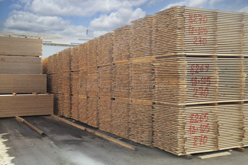 Sawing Logs into Boards.Timber Products Warehouse on a Specialized Site ...
