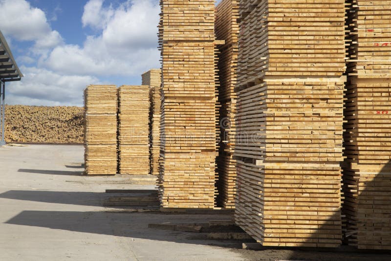 Sawing Logs into Boards.Timber Products Warehouse on a Specialized Site ...