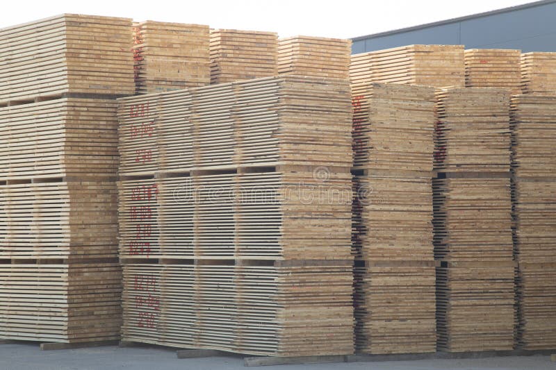 Sawing Logs into Boards.Timber Products Warehouse on a Specialized Site ...