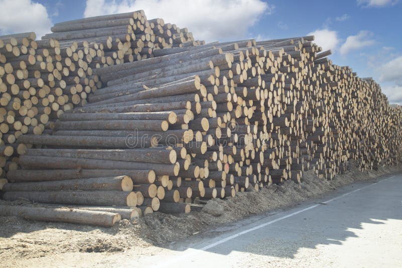 Sawing Logs into Boards.Timber Products Warehouse on a Specialized Site ...