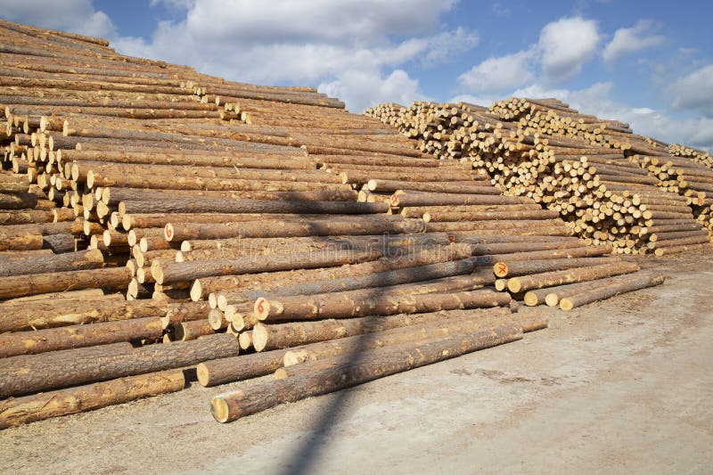 Sawing Logs into Boards.Timber Products Warehouse on a Specialized Site ...