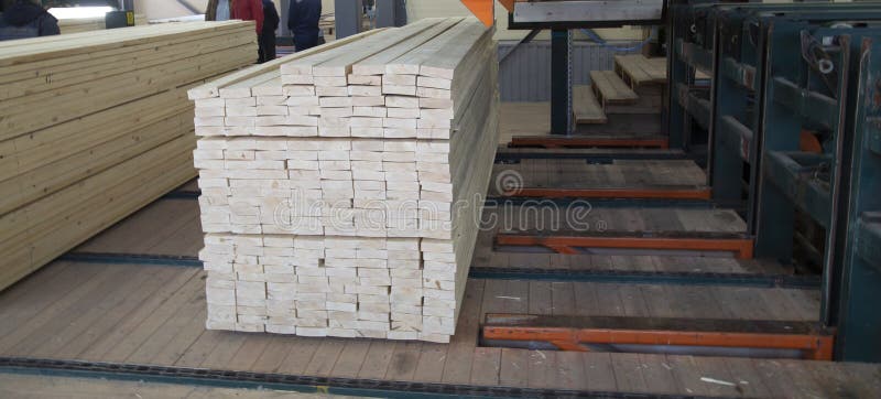 Sawing Logs into Boards.Timber Products Warehouse on a Specialized Site ...