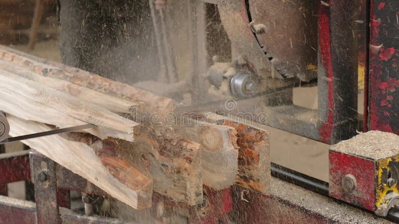 Processing and Sawing Timber at a Sawmill. the Production Process at ...