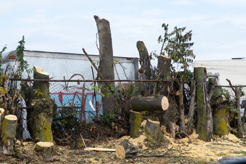 Trimber Nature Stock Photos - Free & Royalty-Free Stock Photos from ...