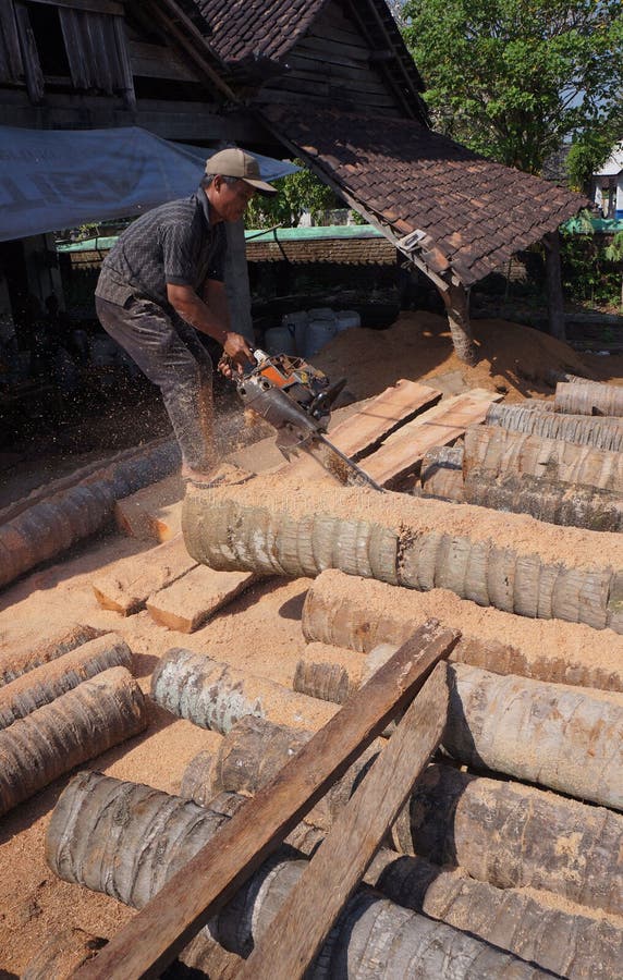 Sawing wood editorial stock image. Image of java, indonesia - 41369514