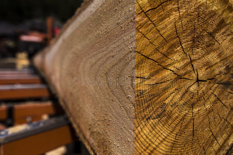 Sawmill Cutting Log stock image. Image of equipment, finished - 69756843