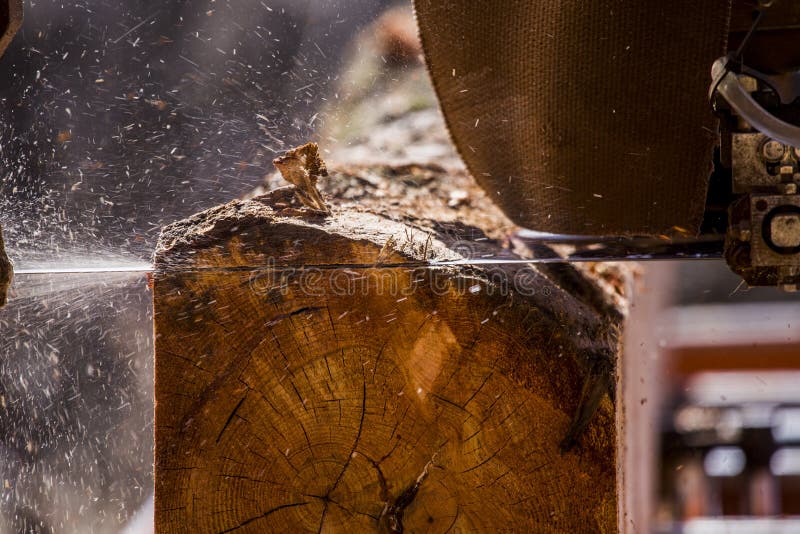 Sawmill Cutting Log Process of Making Wood Planks Lumber and Timber ...