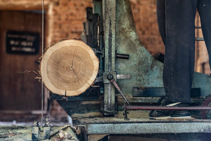 Sawmill Cutting Log Process of Making Wood Planks Lumber and Timber ...