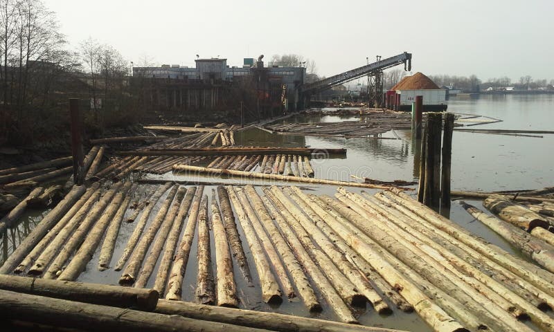 Sawmill and log booms stock photo. Image of pulp, forestry - 51091124