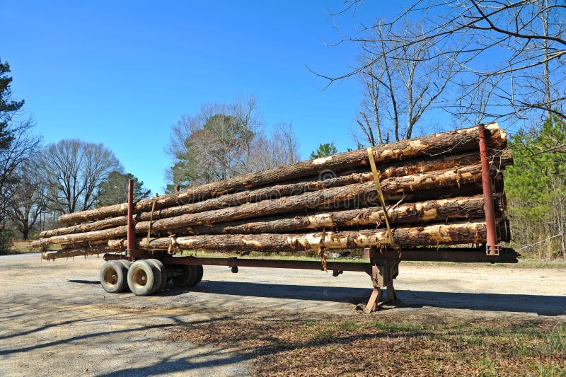 Sawmill Operation stock photo. Image of plant, forestry - 38964176
