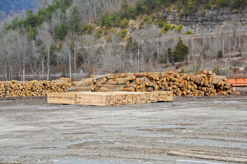 Sawmill Operation stock photo. Image of timber, lumber - 39036986