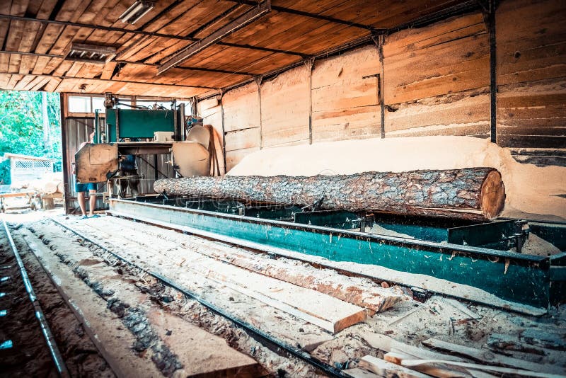 Sawmill. Process of Machining Logs in Sawmill Machine Saws the Tree ...