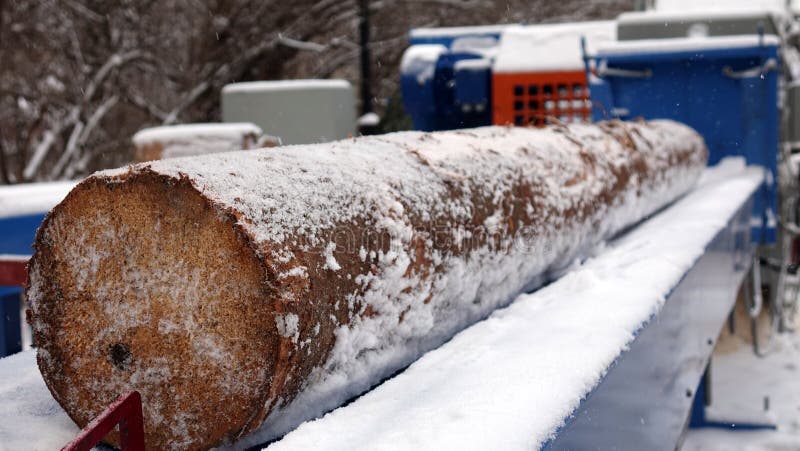 Sawmill. the Process of Processing Logs in the Sawmill Equipment . Wood ...