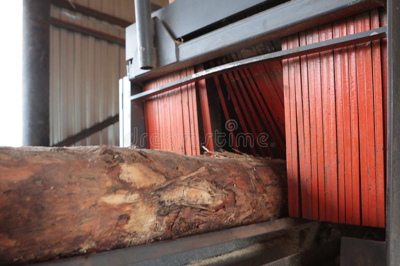 The Sawmill. the Process of Processing Logs on a Sawmill. the Trunk of ...