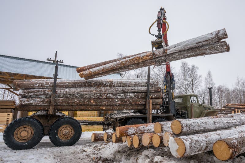 Loading of timber stock photo. Image of loader, sawmill - 99566966