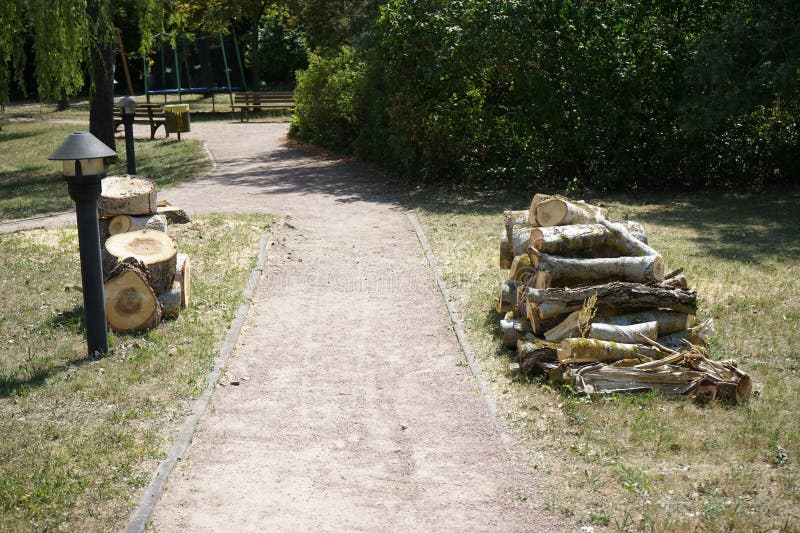 Sawn Logs Lie Along the Path in the Recreation Area. Berlin, Germany ...