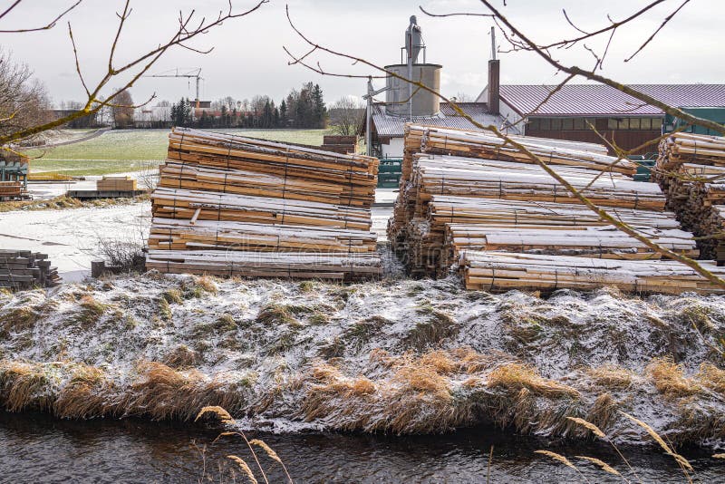 Sawn Logs at the Sawmill for Further Cutting into Timber Stock Photo ...
