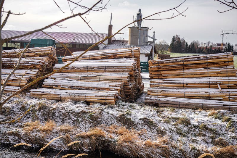 Sawn Logs at the Sawmill for Further Cutting into Timber Stock Image ...