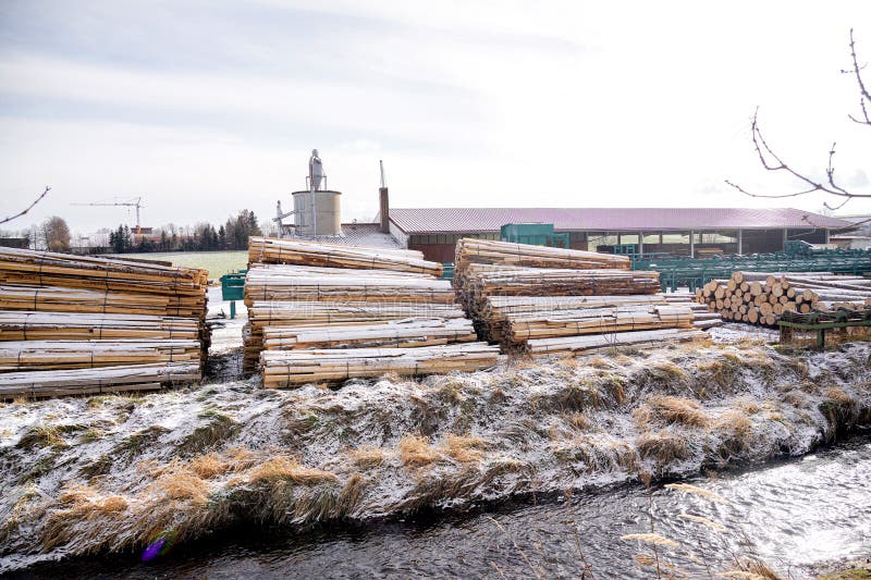Sawn Logs at the Sawmill for Further Cutting into Timber Stock Image ...