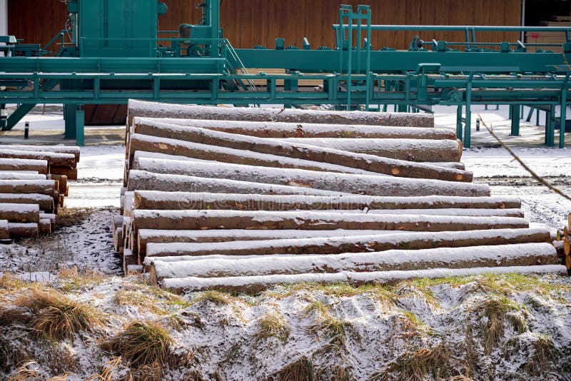 Sawn Logs at the Sawmill for Further Cutting into Timber Stock Photo ...