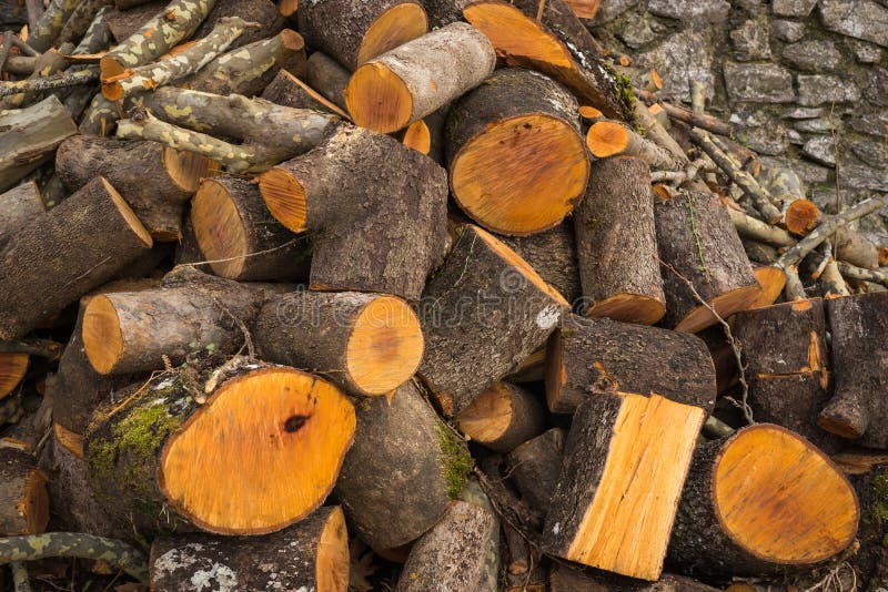 Sawn Logs Stacked in a Large Scenic Bunch Stock Image - Image of branch ...