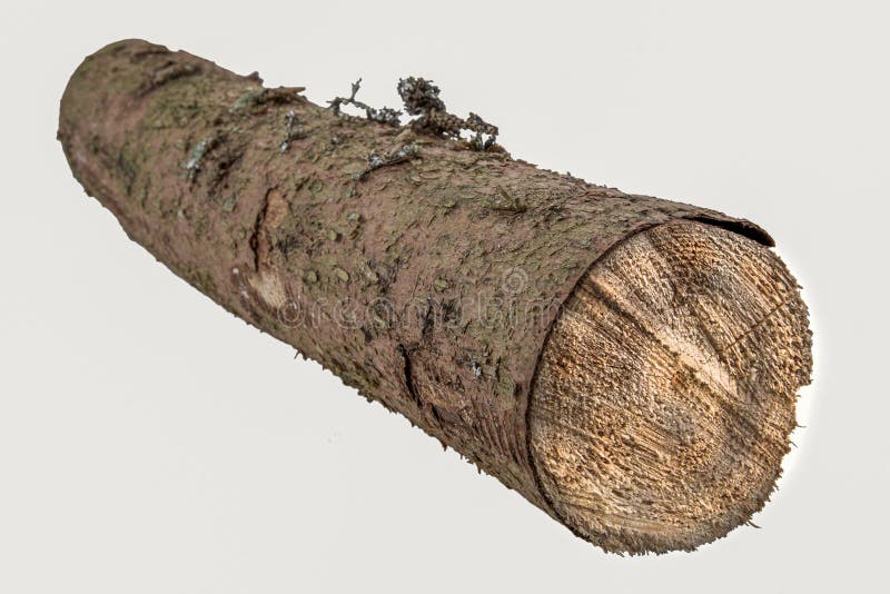 Sawn Off Piece of Wood on White Background Stock Image - Image of wood ...