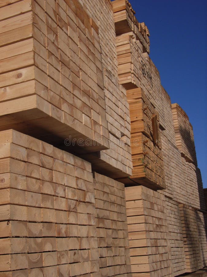 Sawn timber stock photo. Image of carpentry, lines, forest - 3750954