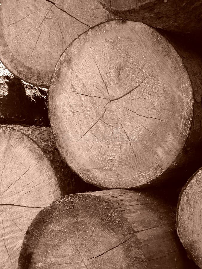 Sawn timber stock photo. Image of logs, crack, lumber - 7250568